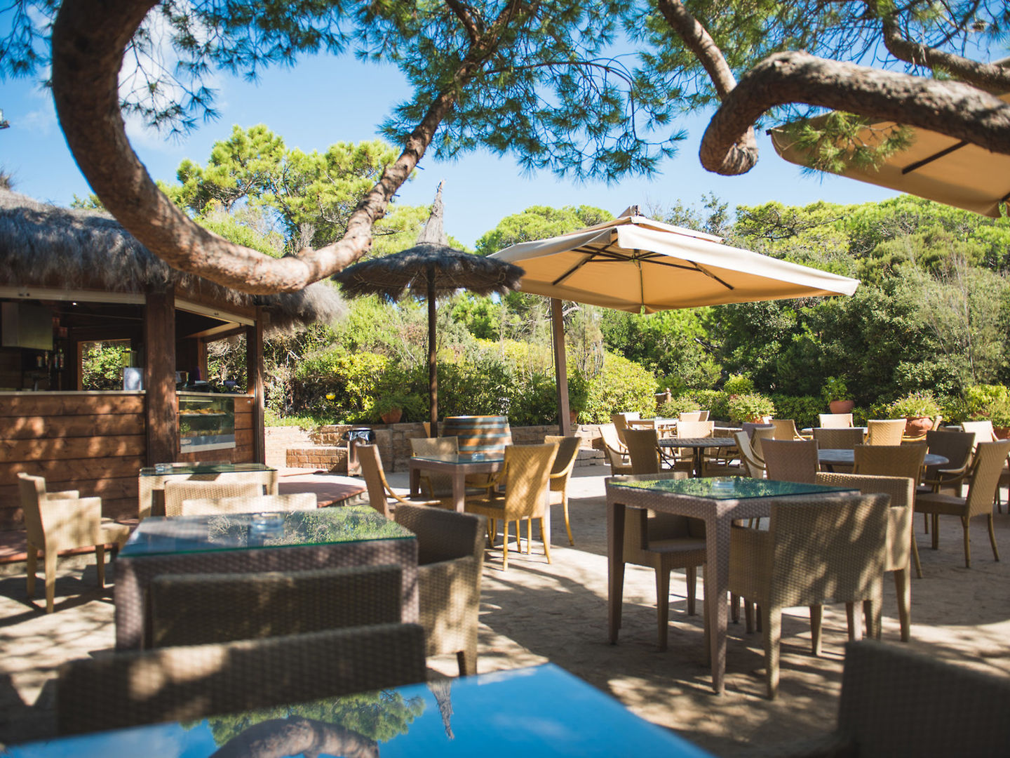 4* Roccamare Resort Residence | Castiglione della Pescaia | Toskana